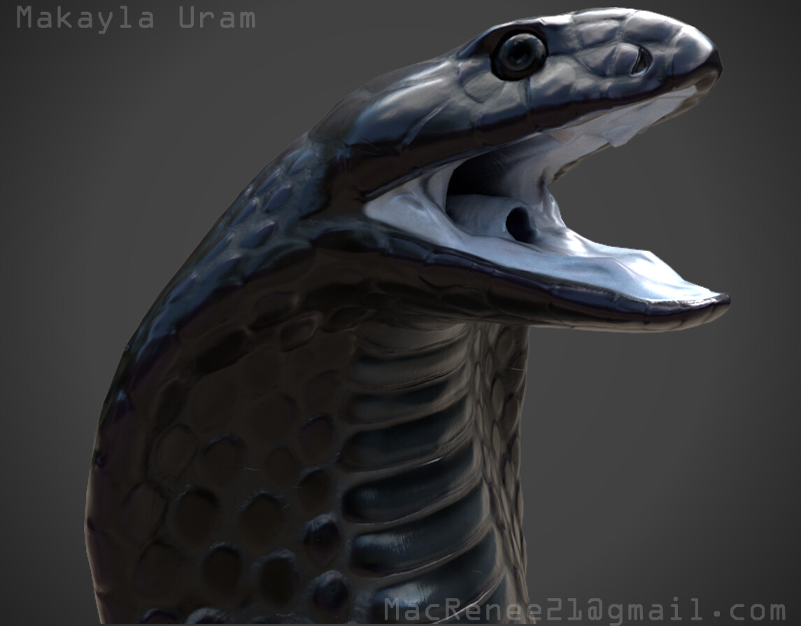 ArtStation - Creature Busts - Melanistic King Cobra