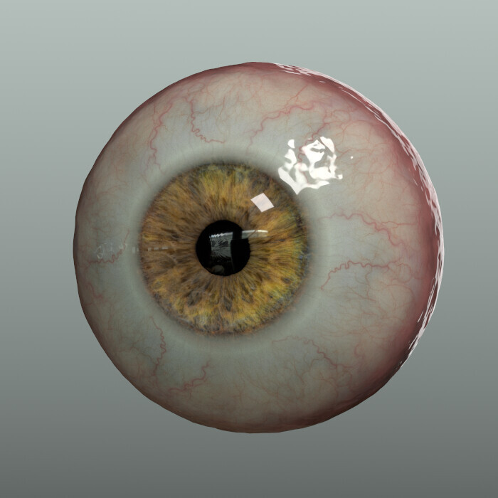 ArtStation - Realistic Eye Project - Pupil Dilation