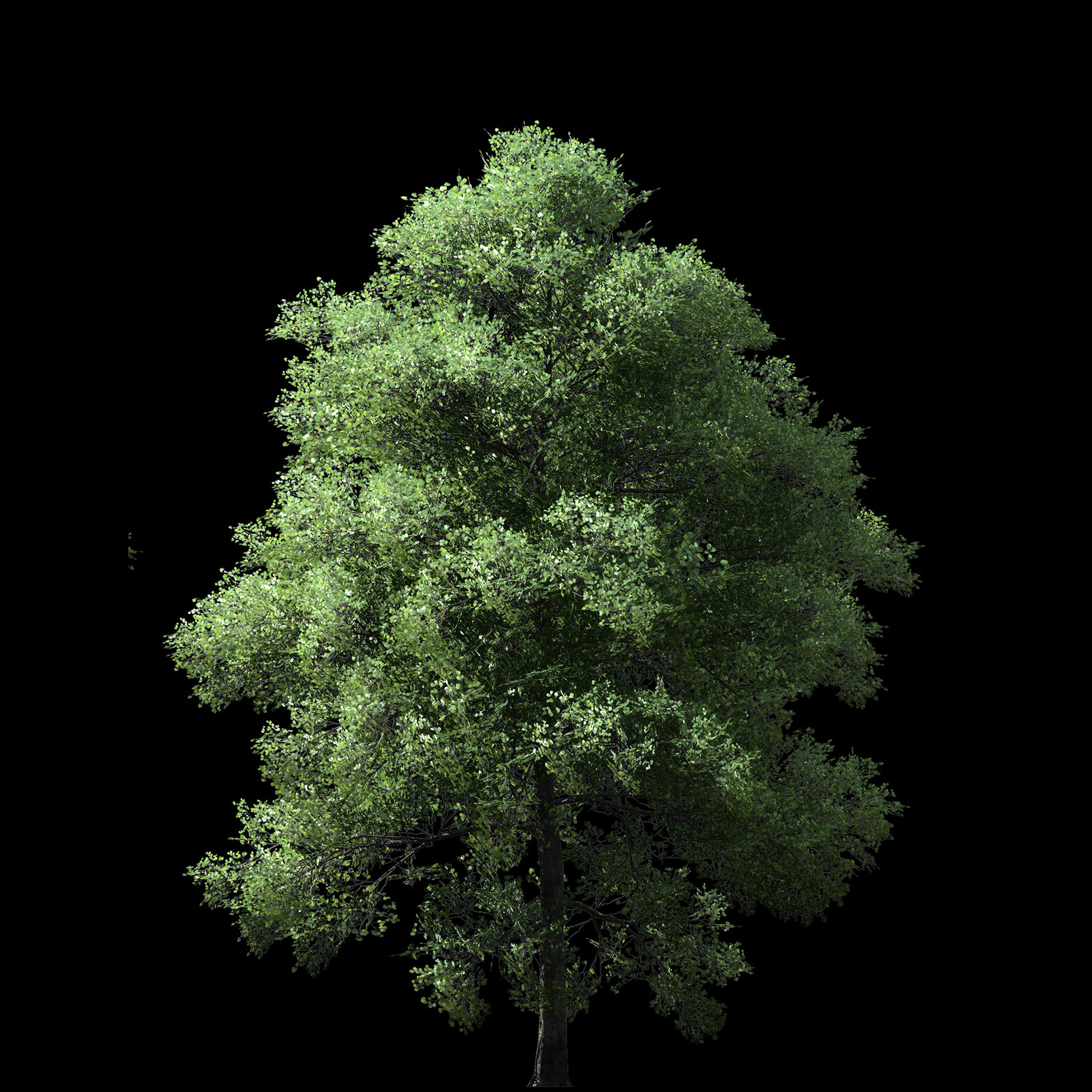 ArtStation - Alder trees for games