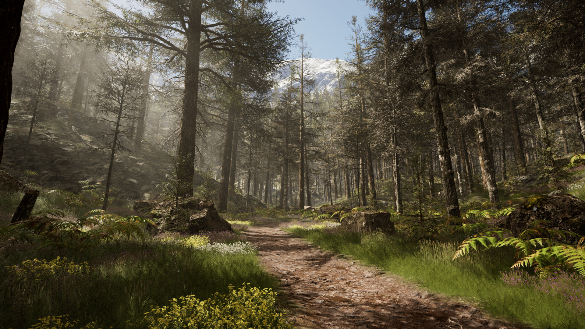 ArtStation - Through the forest