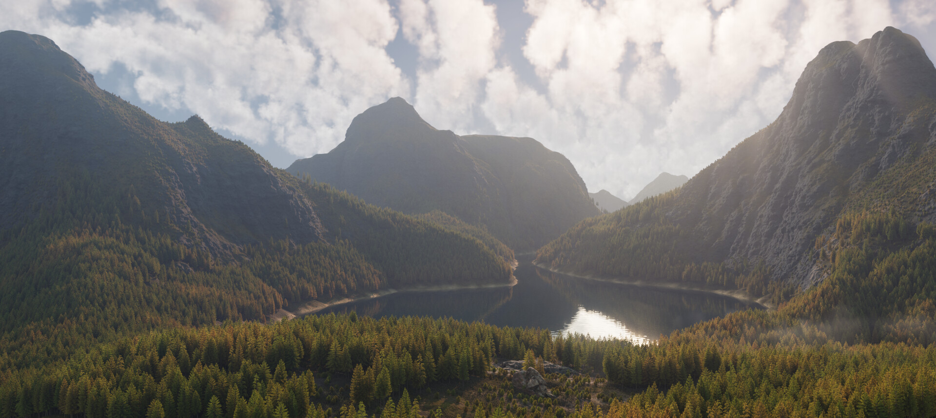 ArtStation - Forest Houdini 17 Environment