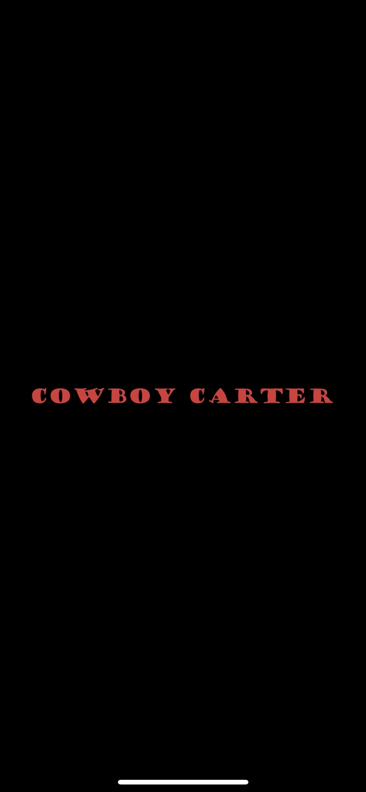 ArtStation - Cowboy Carter Concept