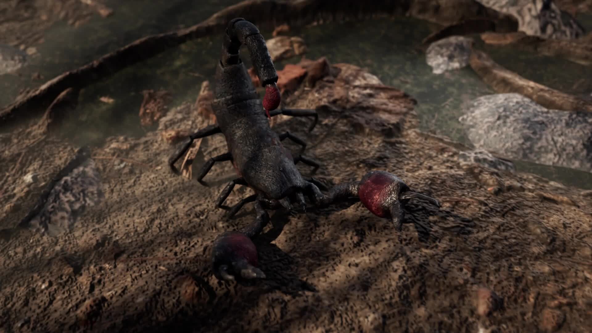 ArtStation - First Creature Animation in Autodesk Maya