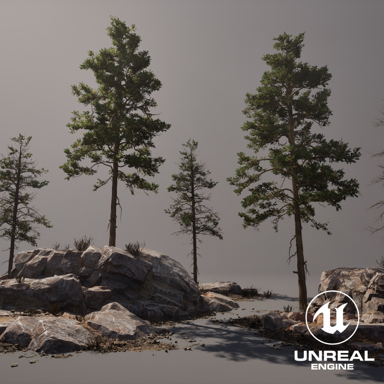 ArtStation - Trees and Rocks