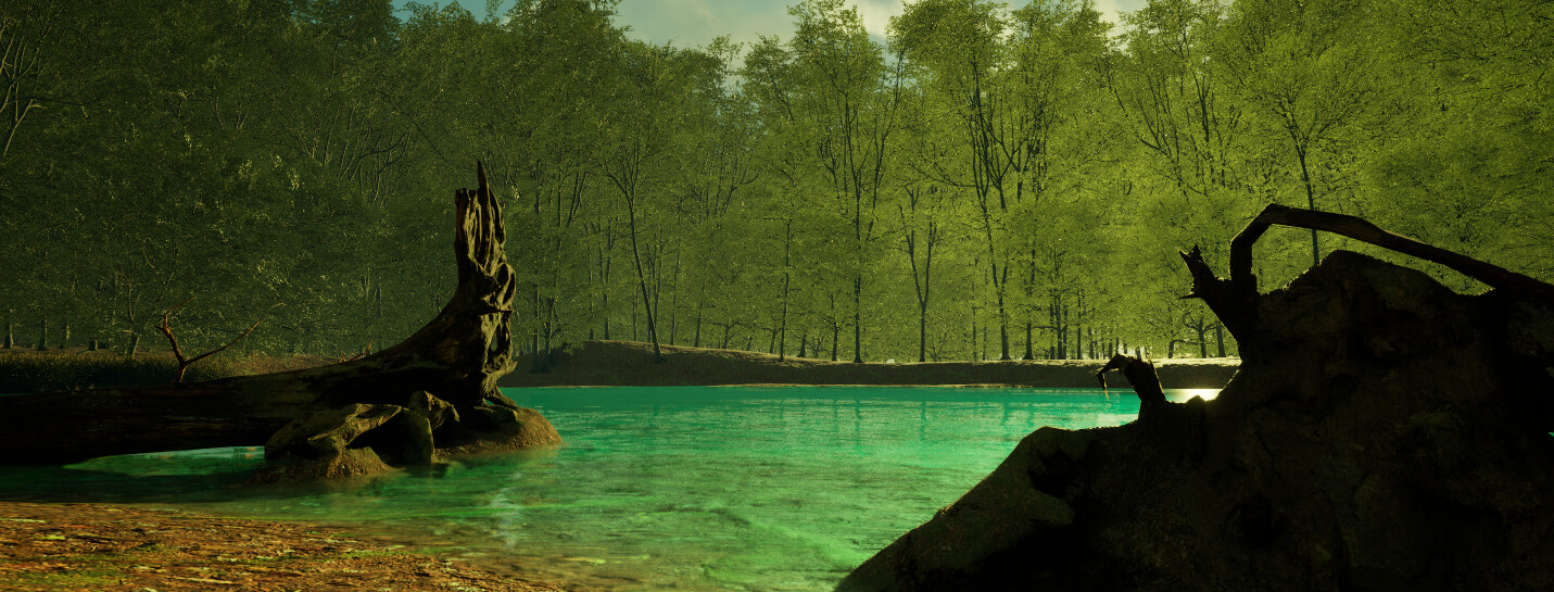 ArtStation - Forest ENV | UE5