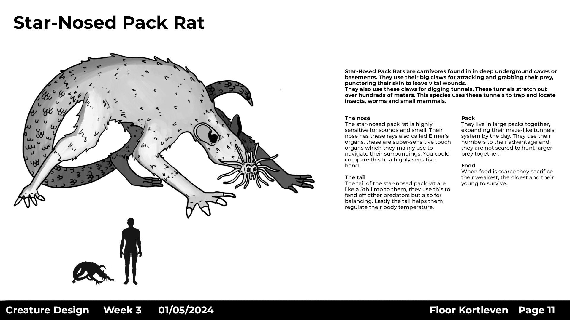 ArtStation - Star-Nosed Pack Rat - Creature Design