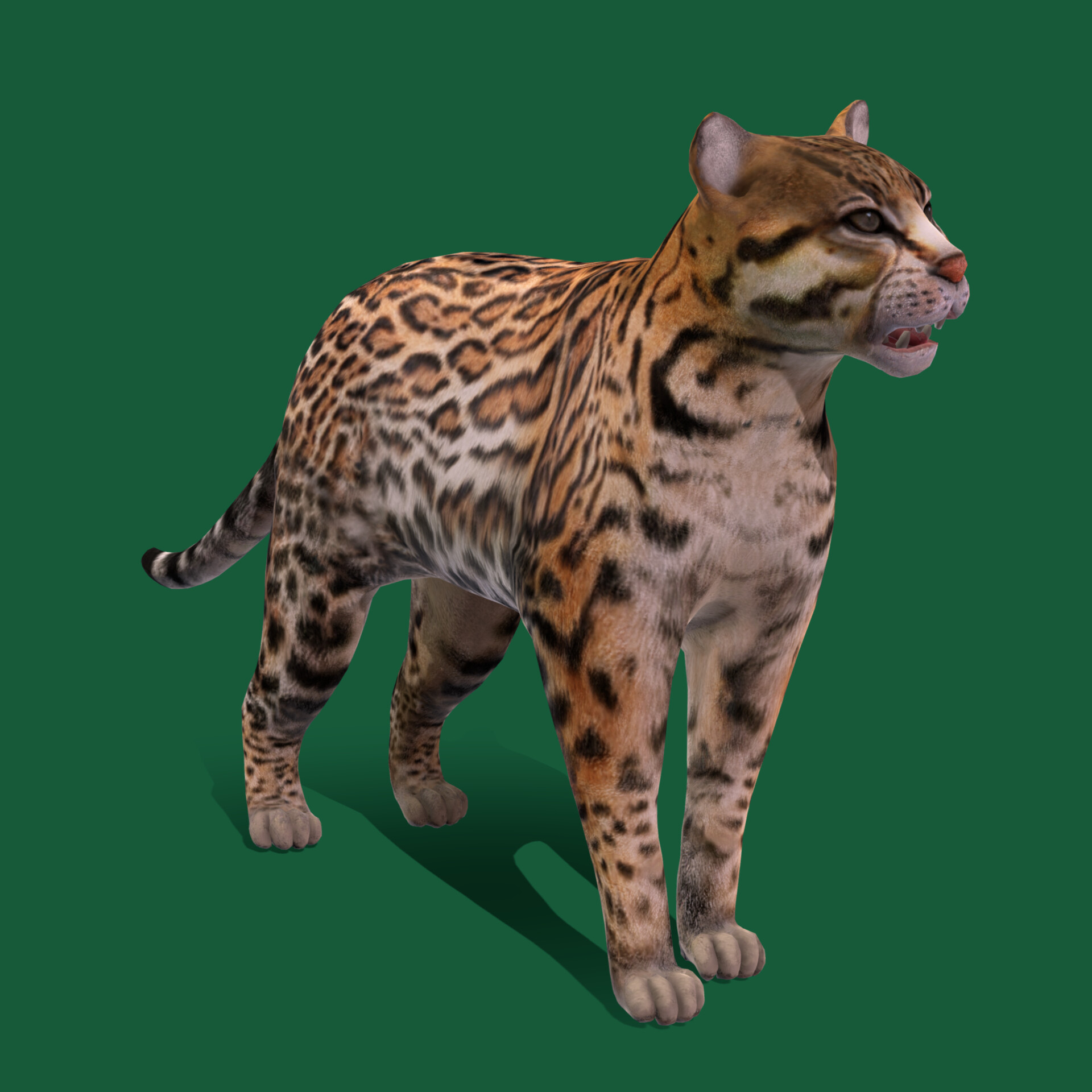 ArtStation - Ocelot Wild Cat