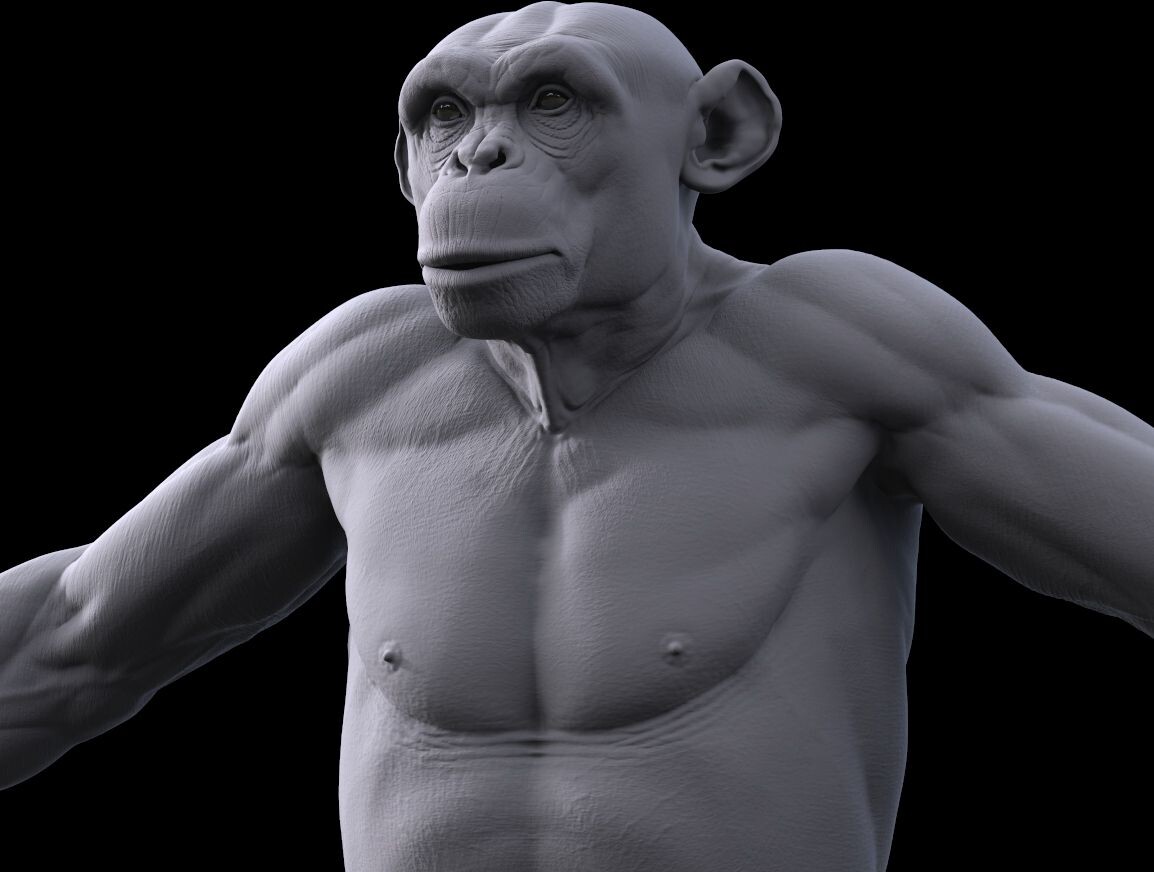 ArtStation - bili ape