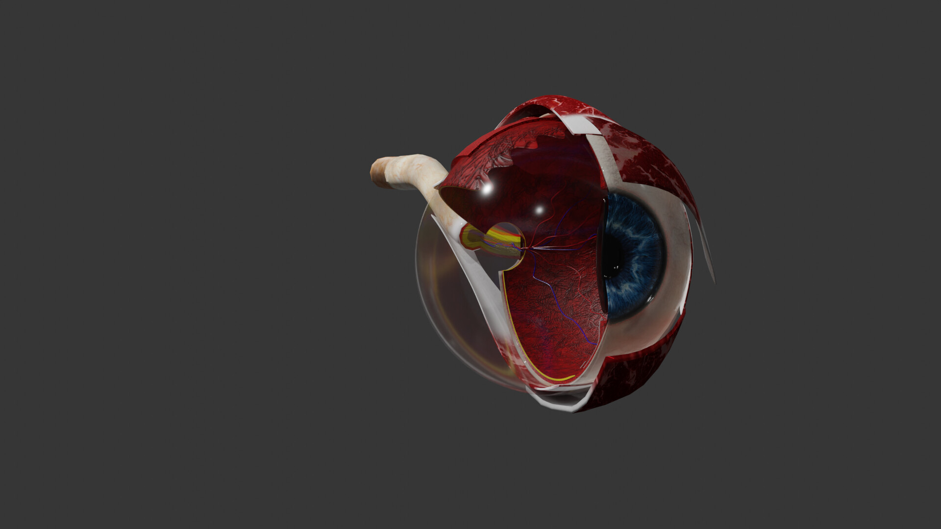 ArtStation - Realistic Human Eye