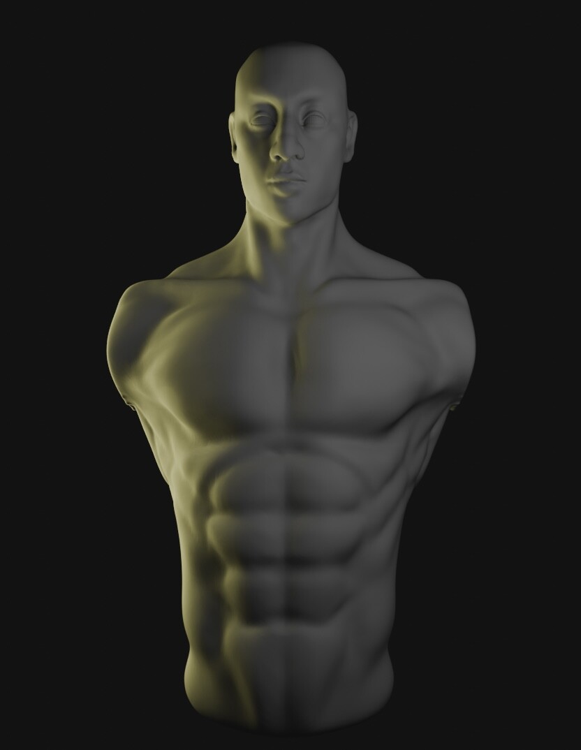 ArtStation - torso sculpt