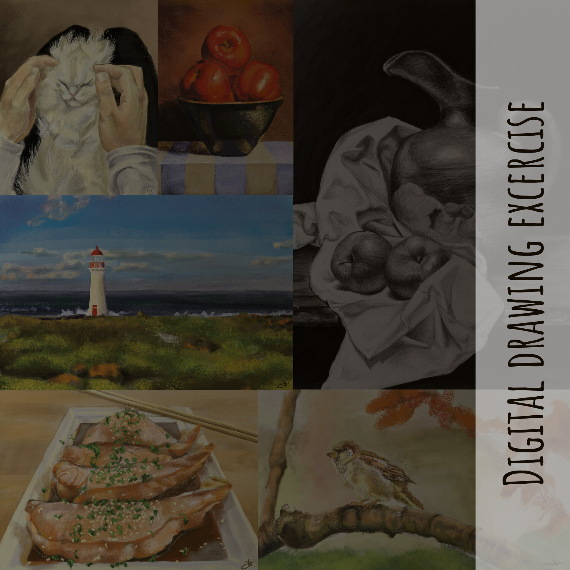 ArtStation - digital drawing exercises