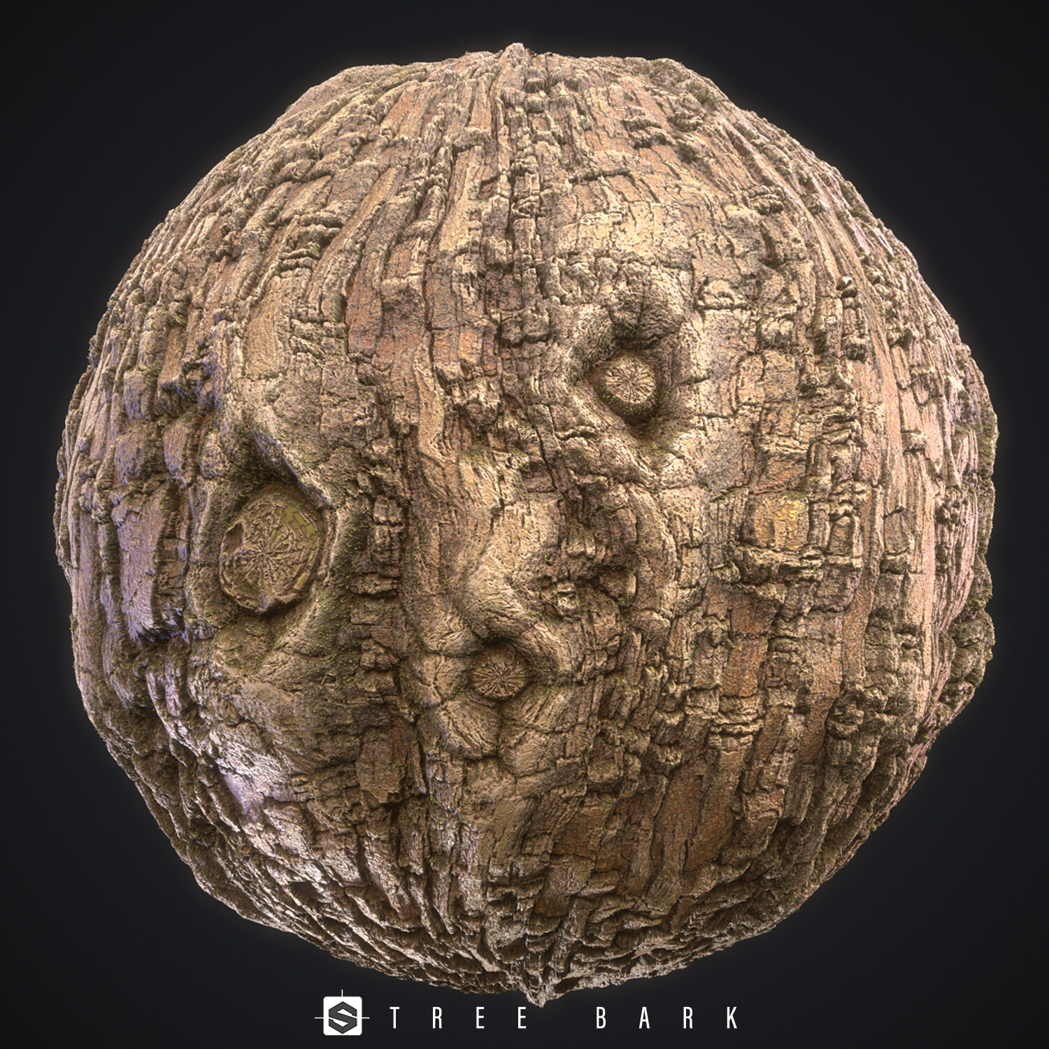 ArtStation - Tree Bark - Substance 3D Designer