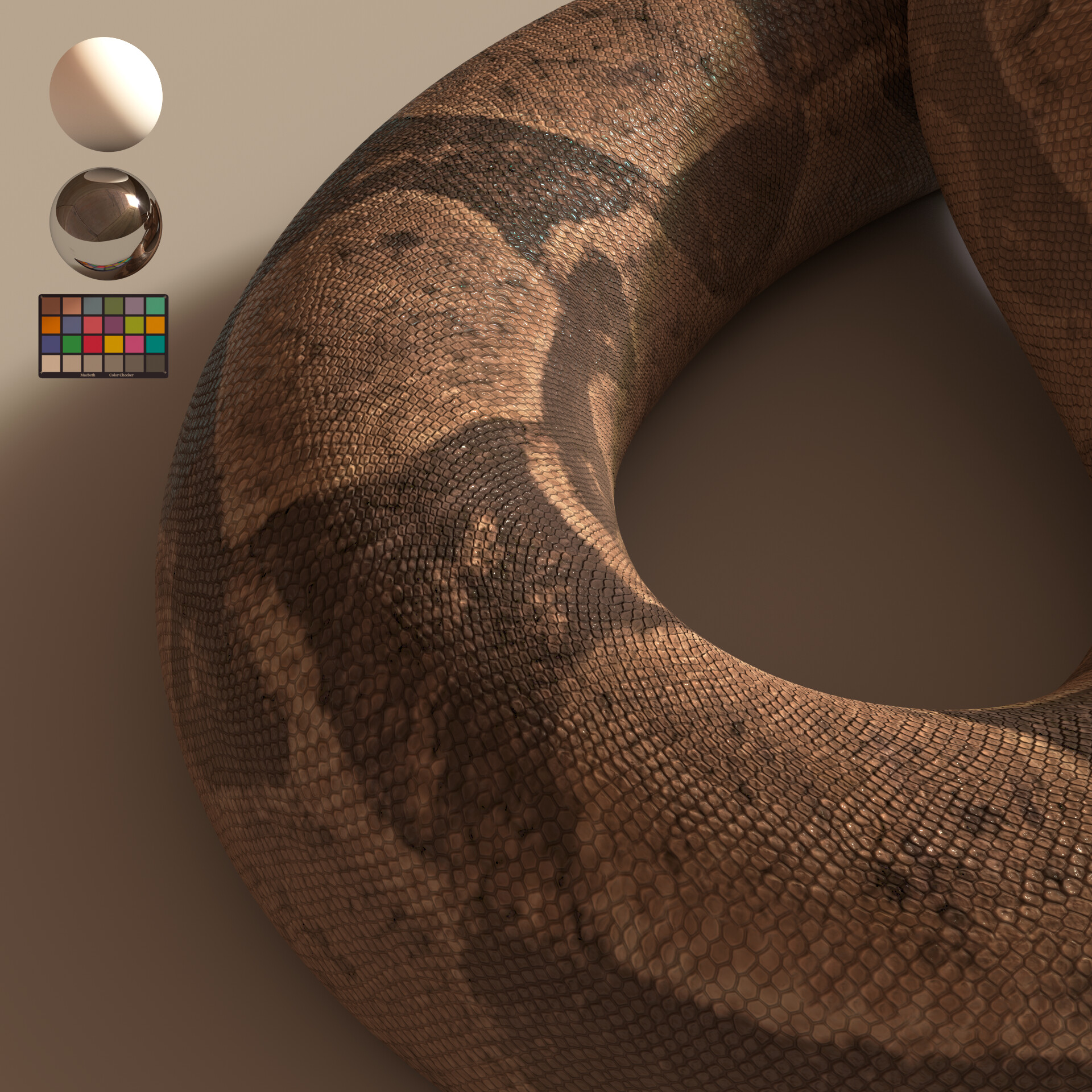 ArtStation - Boa Snake