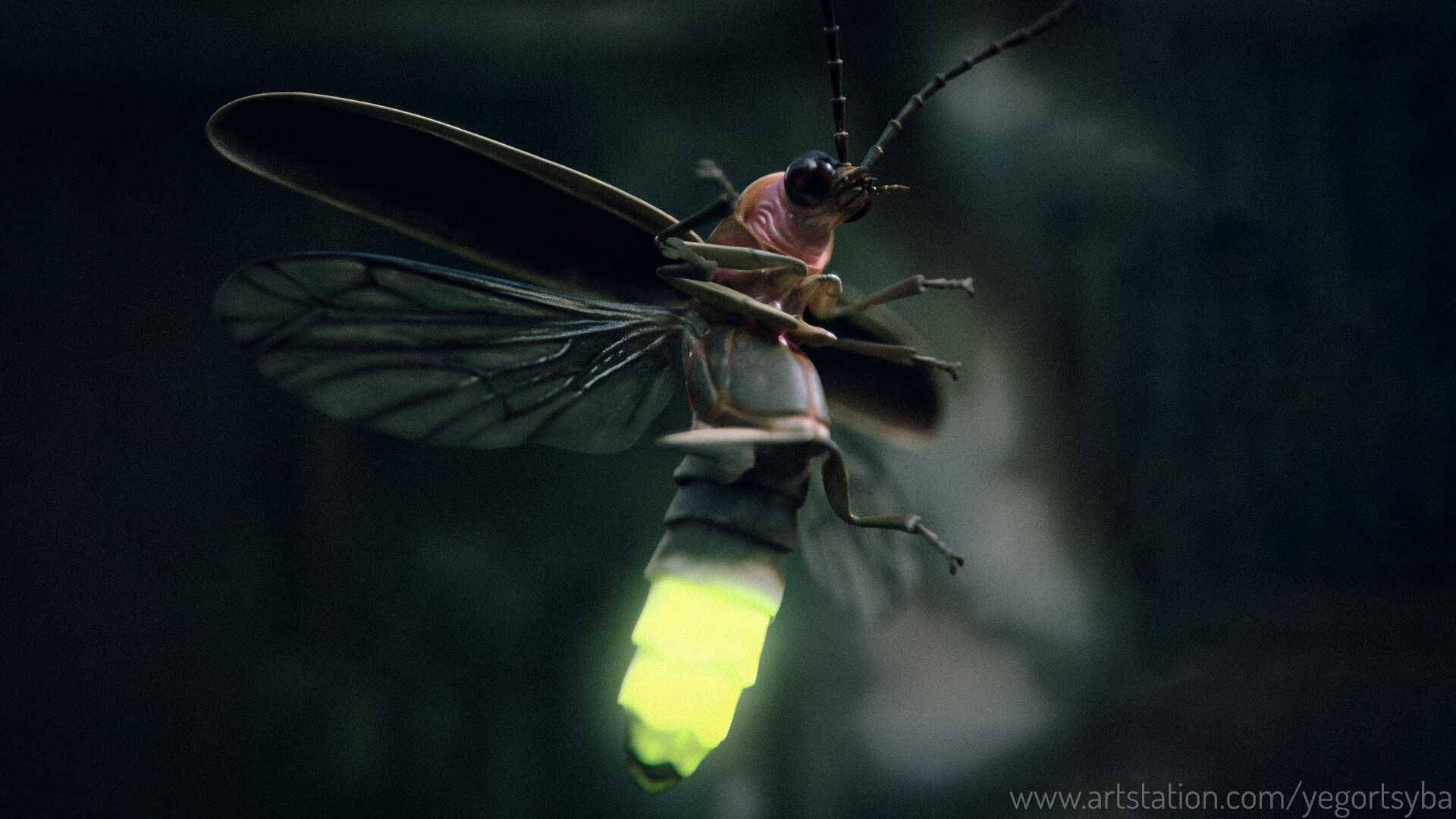 ArtStation - FireFly Insect