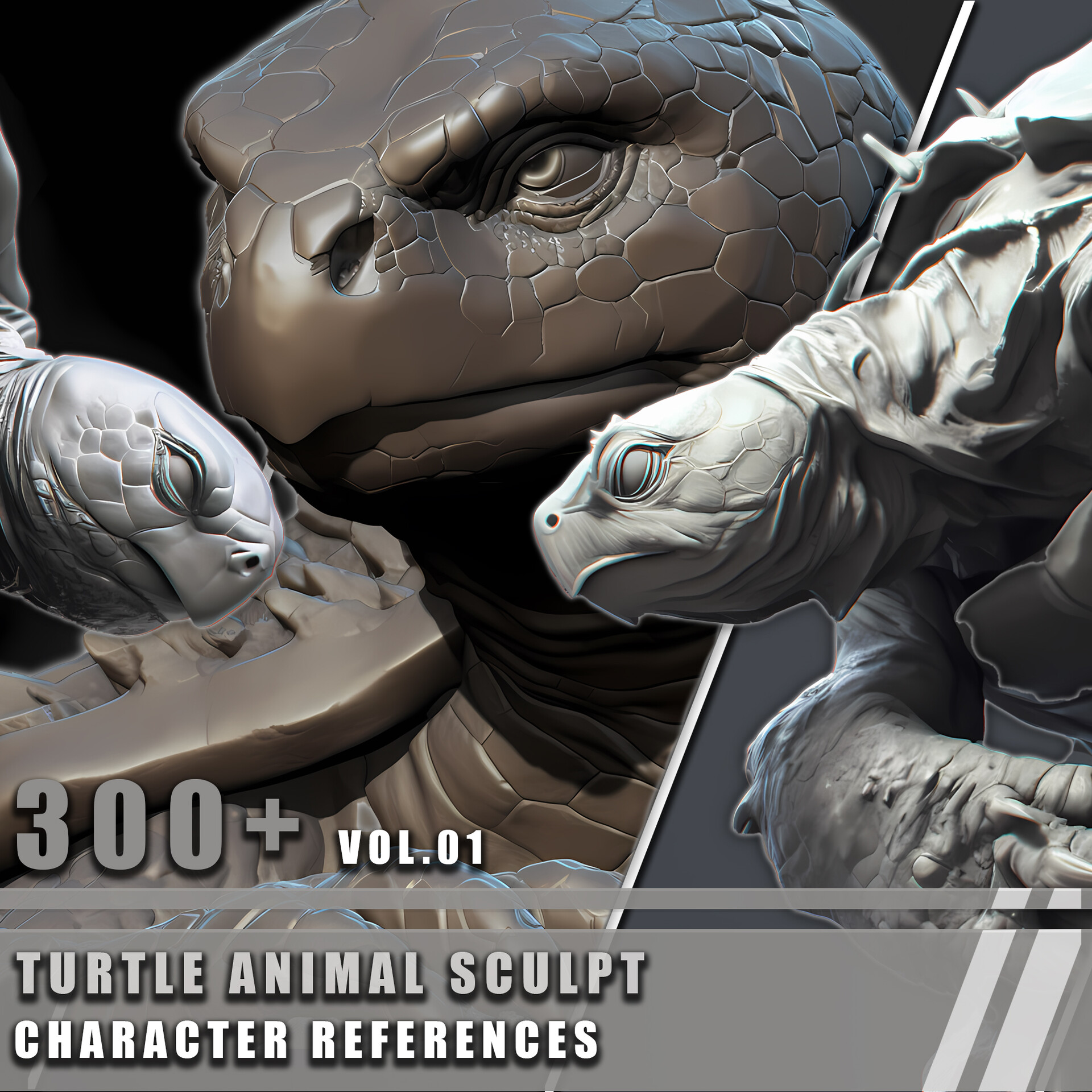 ArtStation - 300+ Turtle Animal Sculpt - Character References Vol.01