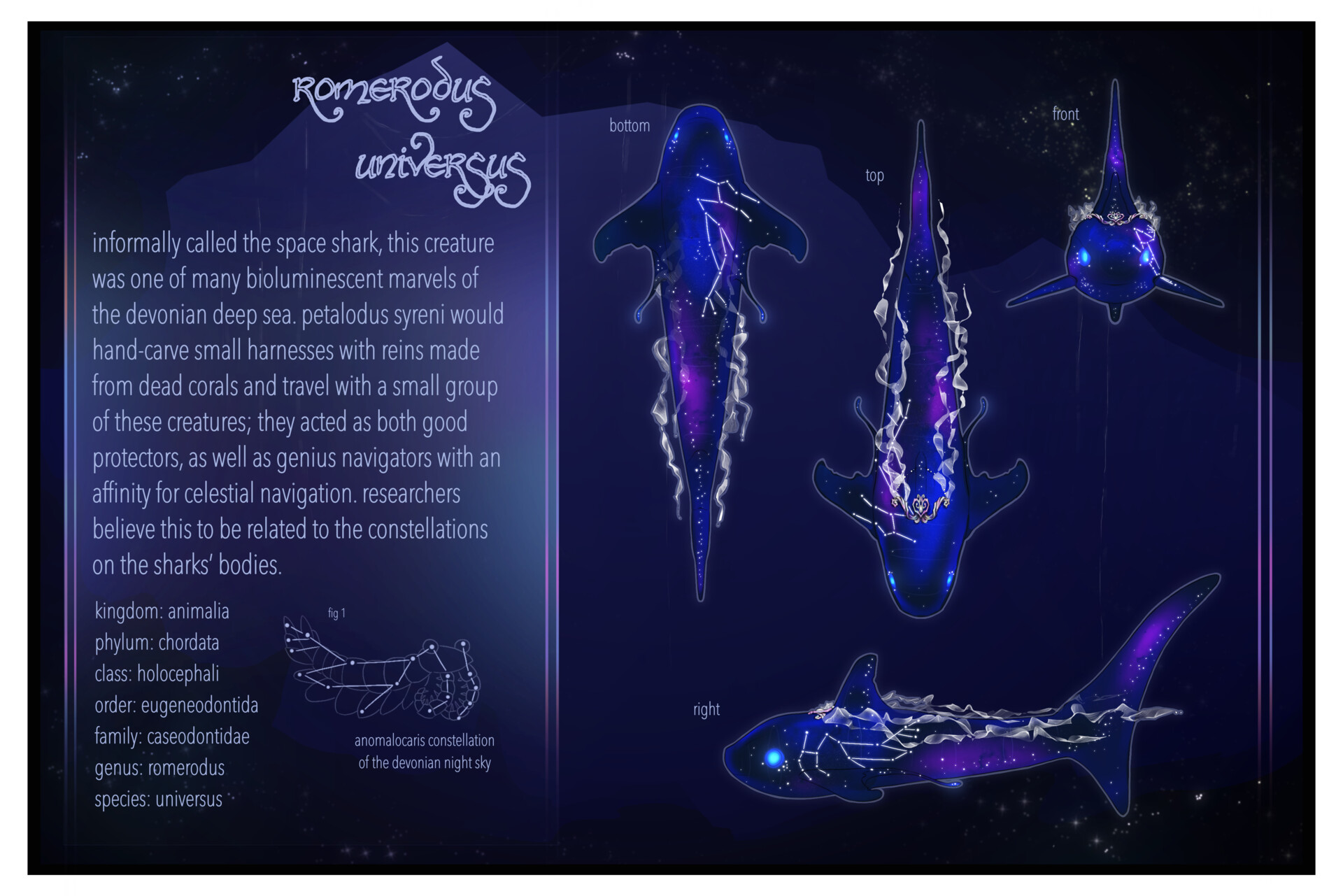 ArtStation - Romerodus Universus Shark / Mermaids of the Devonian - a Speculative Biology Project