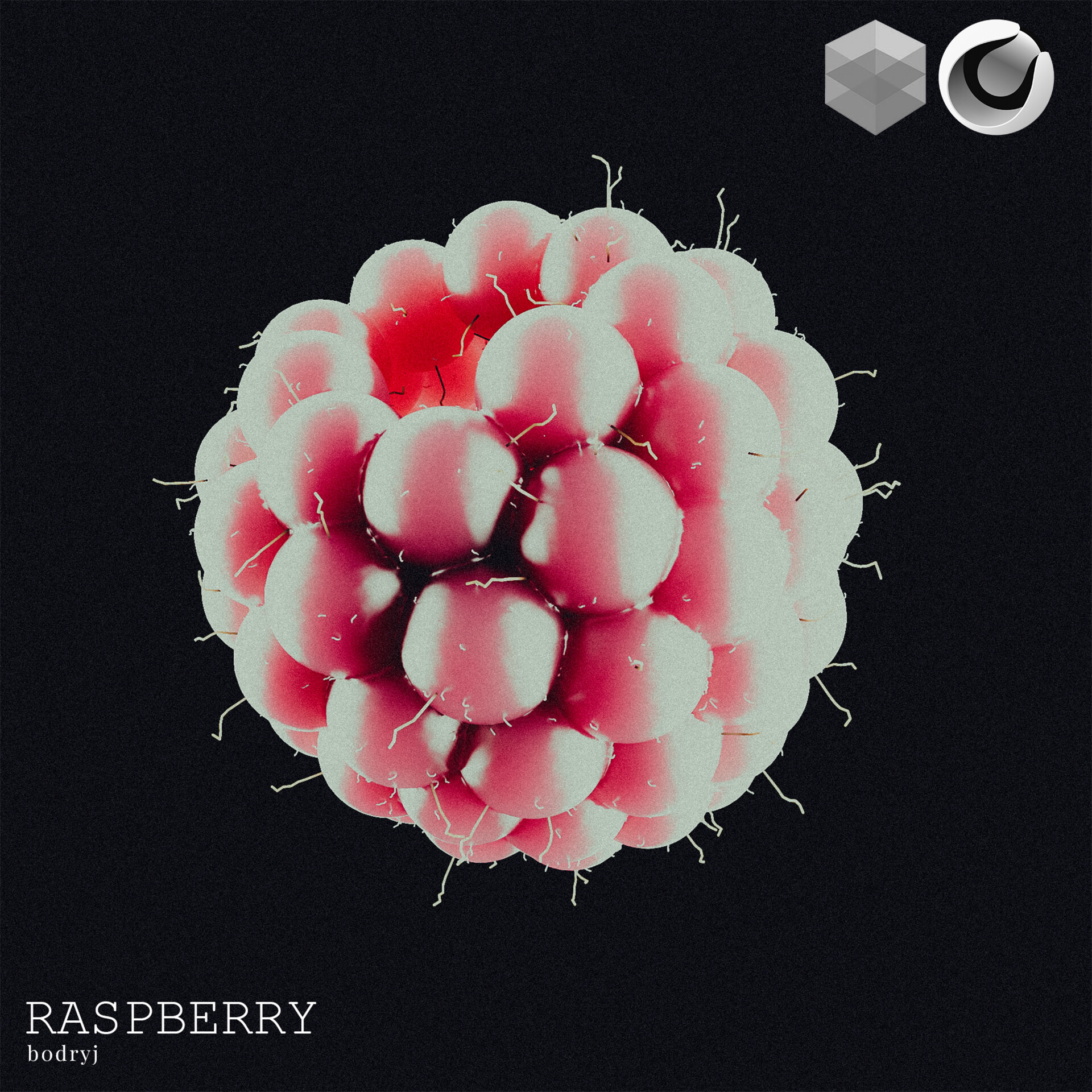 ArtStation - raspberry render