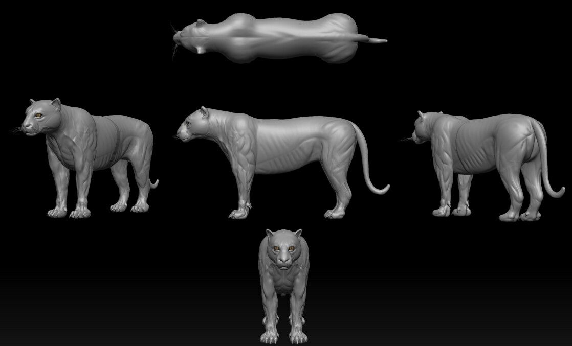 ArtStation - Tiger Sculpt
