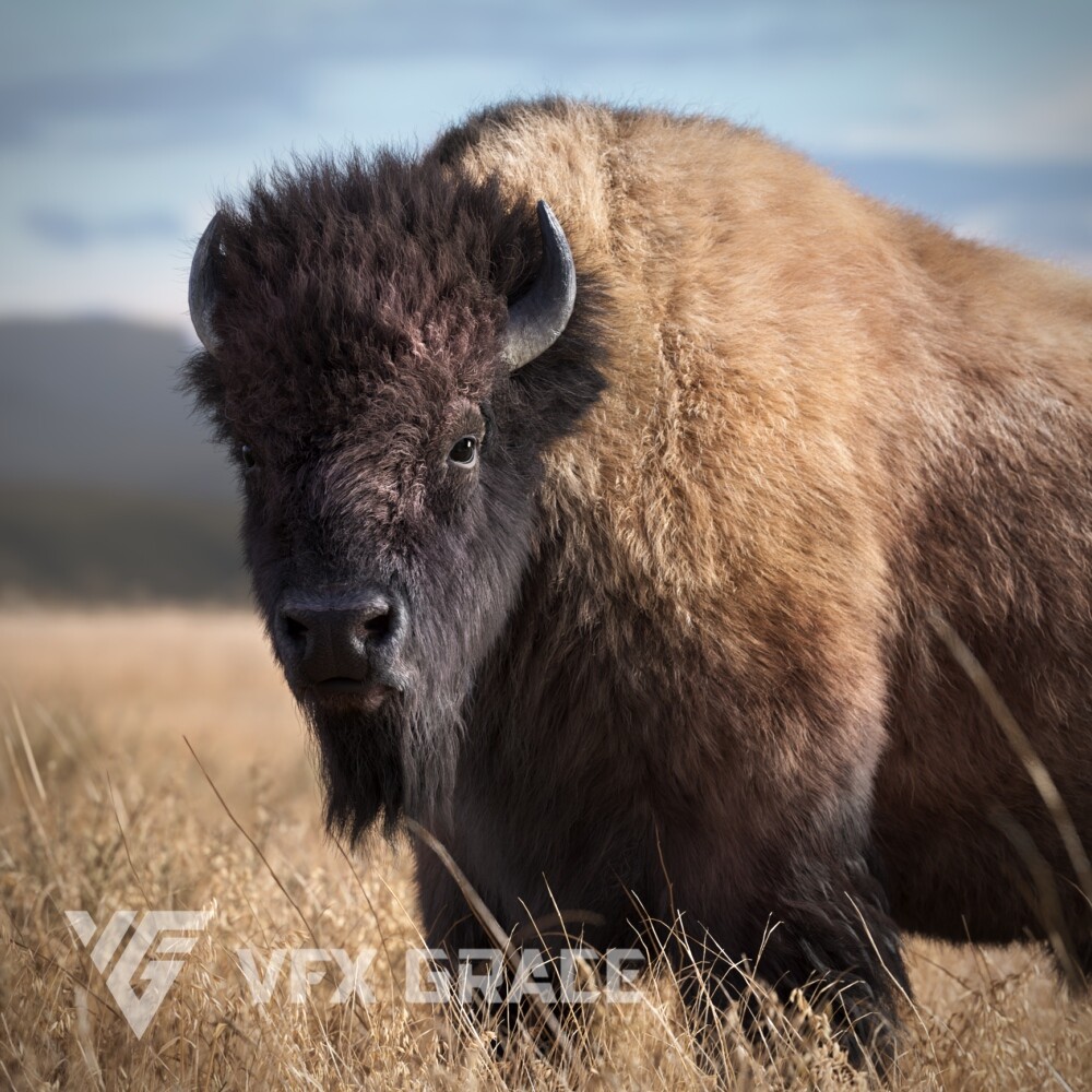 ArtStation - Bison Rig - MAYA Character Asset