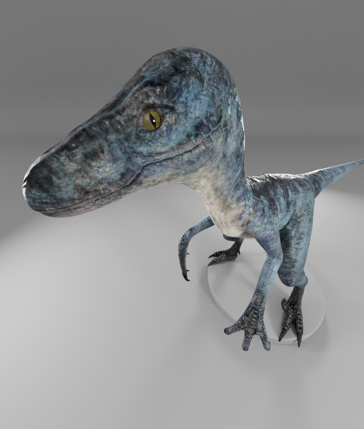 ArtStation - Velociraptor model