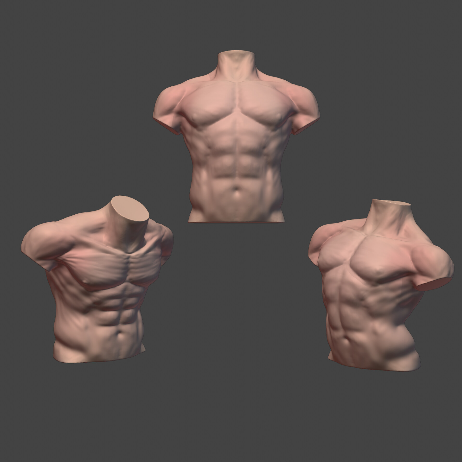 ArtStation - Torso Sculpt - Anatomy Study