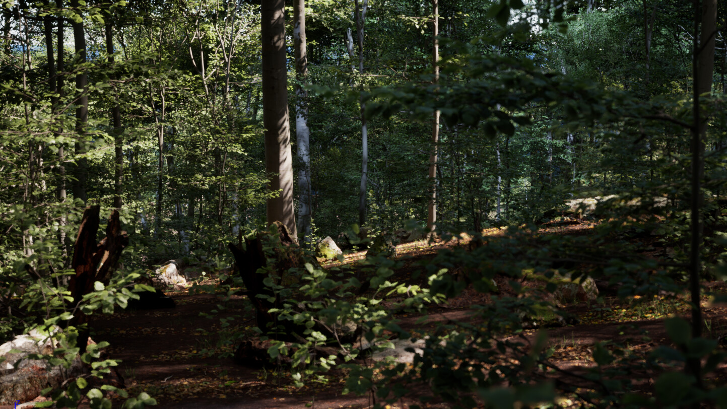 ArtStation - European Forest - Environment Art - Unreal Engine 5