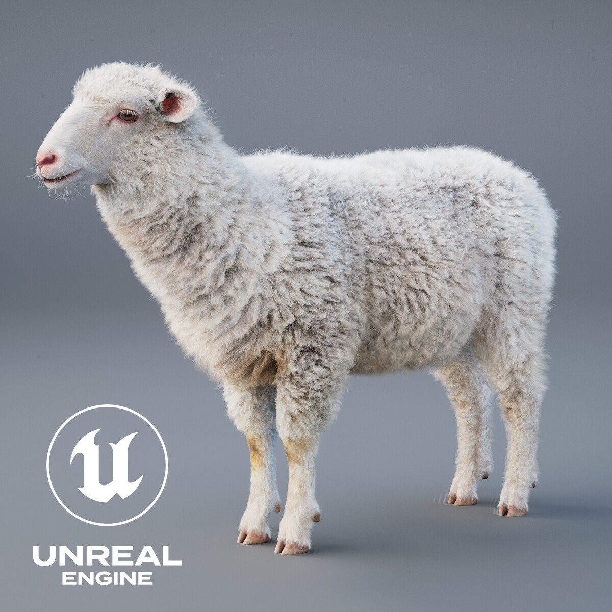 ArtStation - Lamb-Unreal Engine