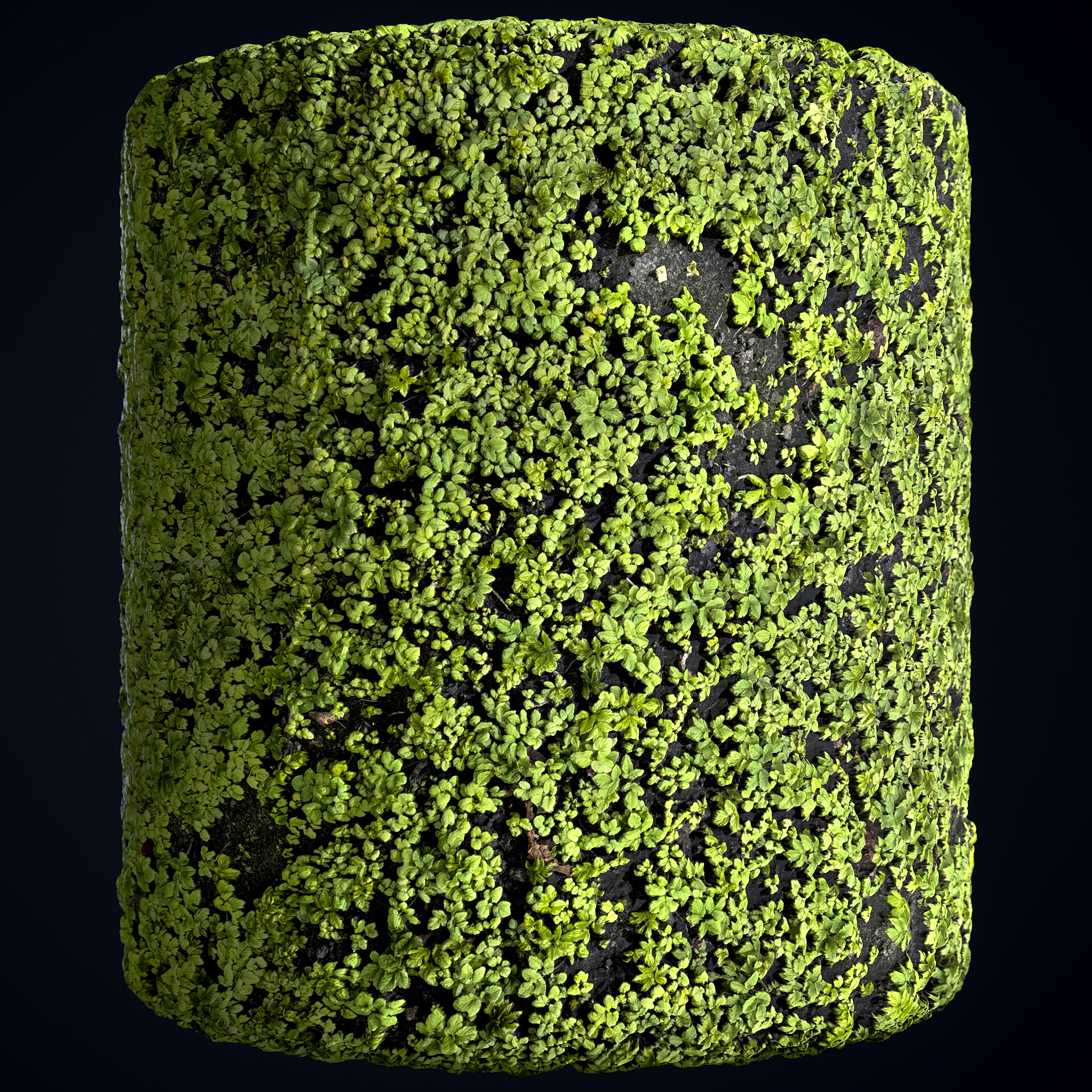 ArtStation - Scanned Forest Materials