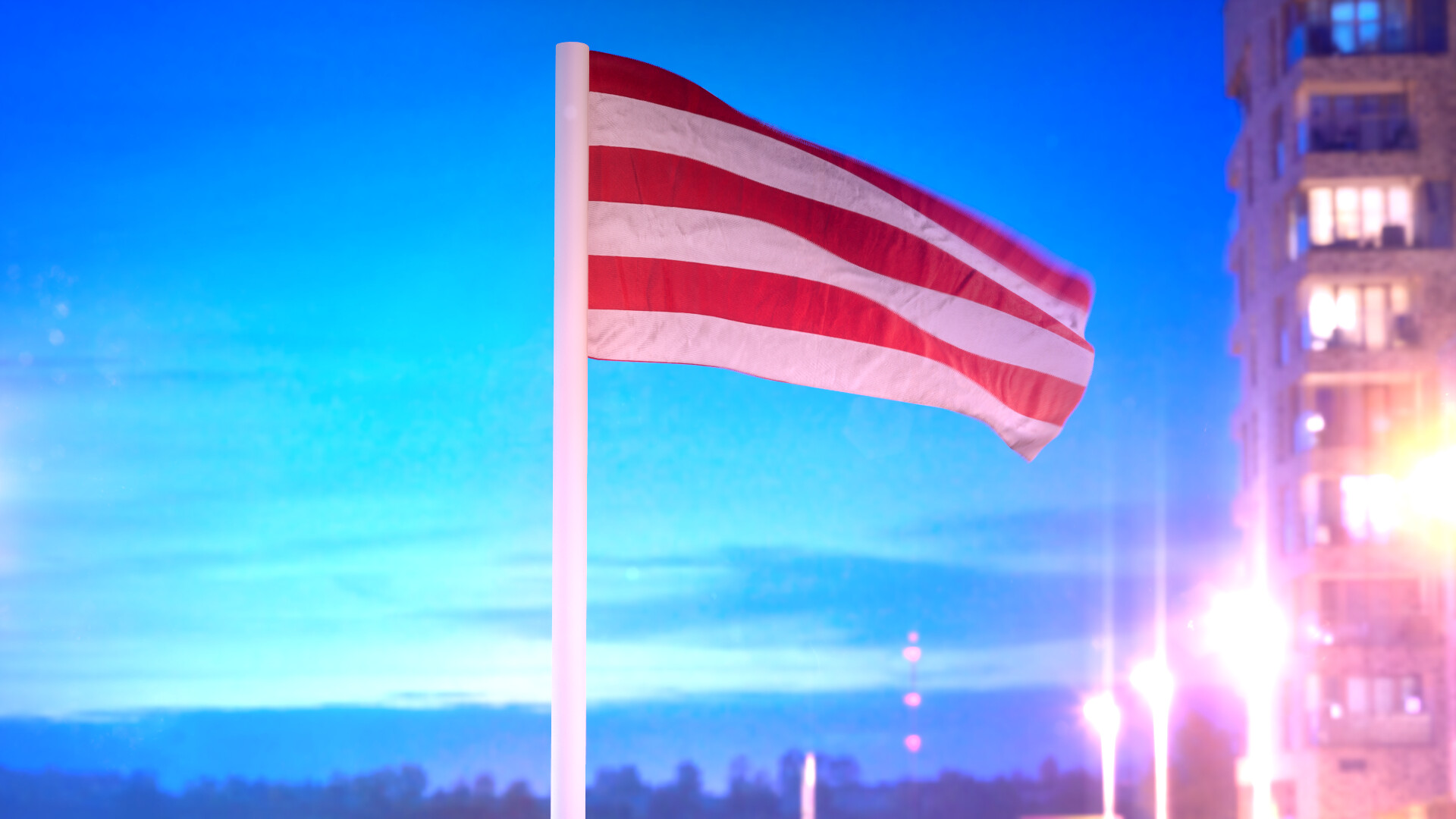 ArtStation - Flag Cloth Simulation