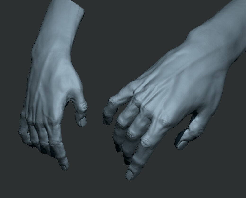 ArtStation - Hand Study- Anatomy