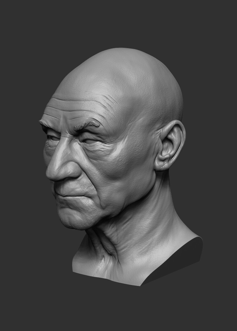 ArtStation - Sir Patrick Stewart_ portrait sculpting
