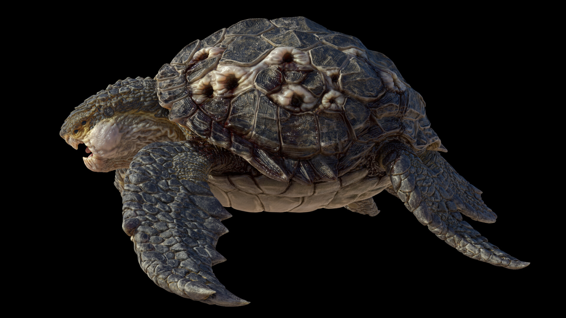 ArtStation - Giant Turtle