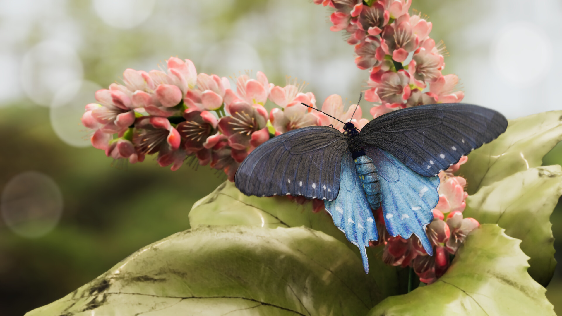 ArtStation - Pipevine Swallowtail Butterfly