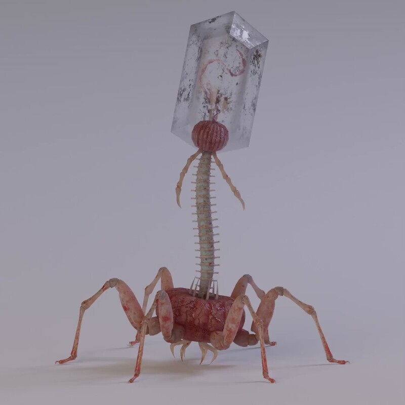 ArtStation - Survivor RogueLike Template Skin - Game Prototype - Zbrush ...