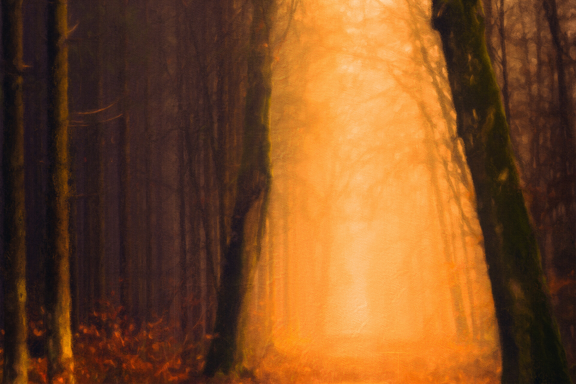 ArtStation - MATTE PAINTING: "Forest of the Lonely" 12K Digital Art