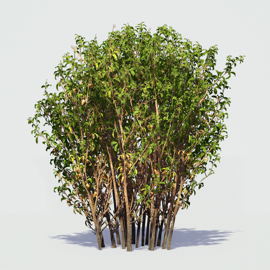 ArtStation - Game ready and low poly shrubs assets kit