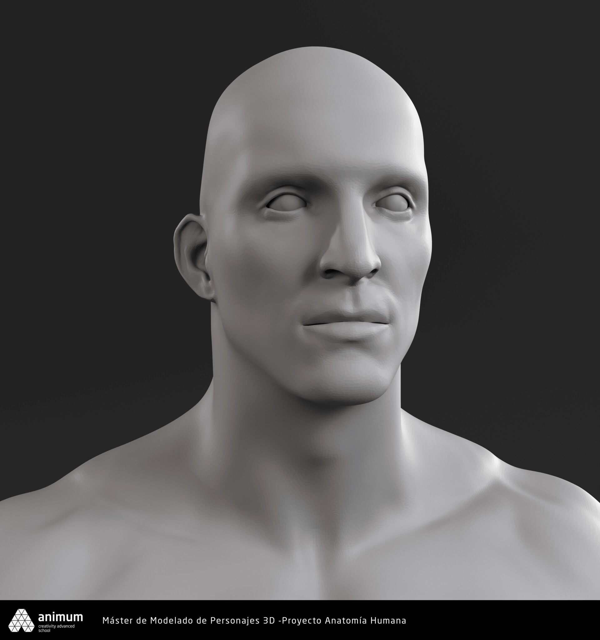 ArtStation - Proyecto Anatomia