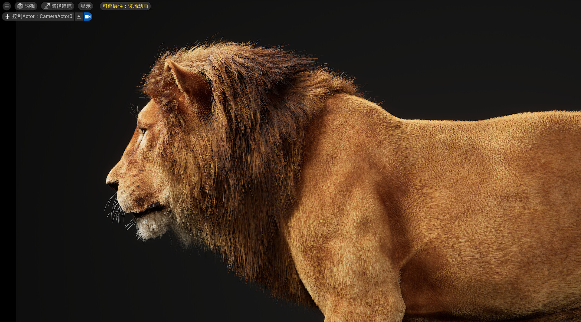 ArtStation - ue5-lion fur