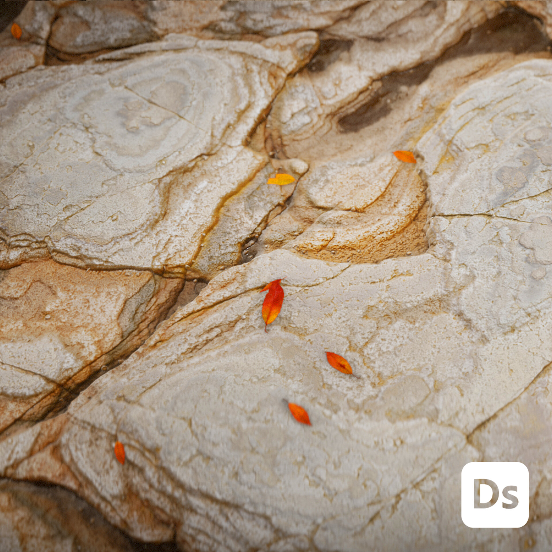 ArtStation - Rock Pools