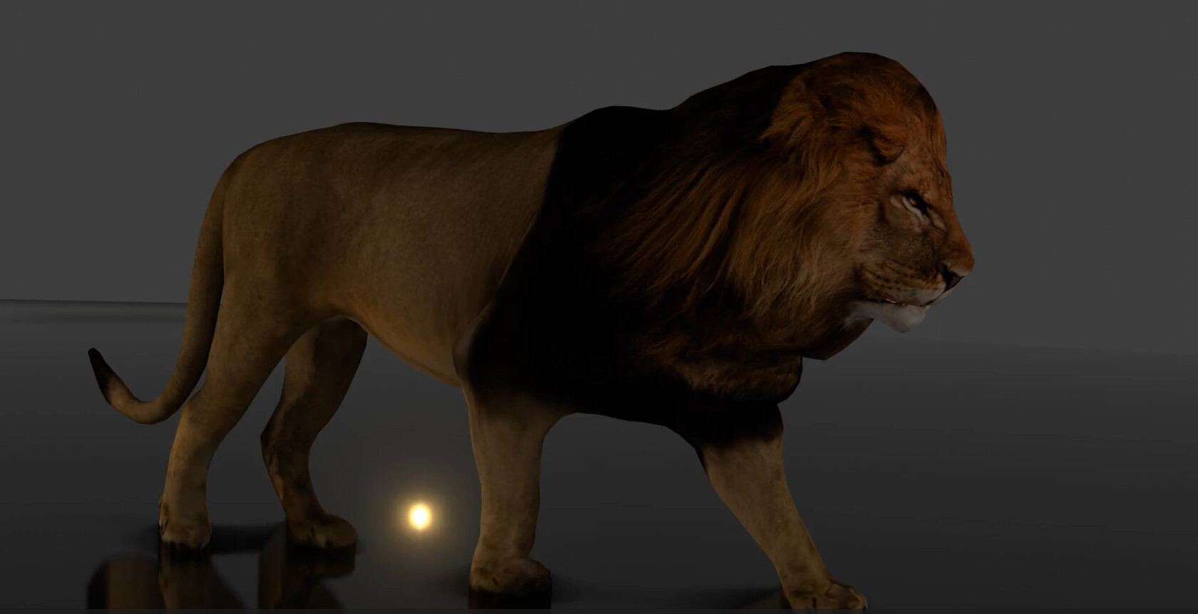 ArtStation - LION WALK CYCLE