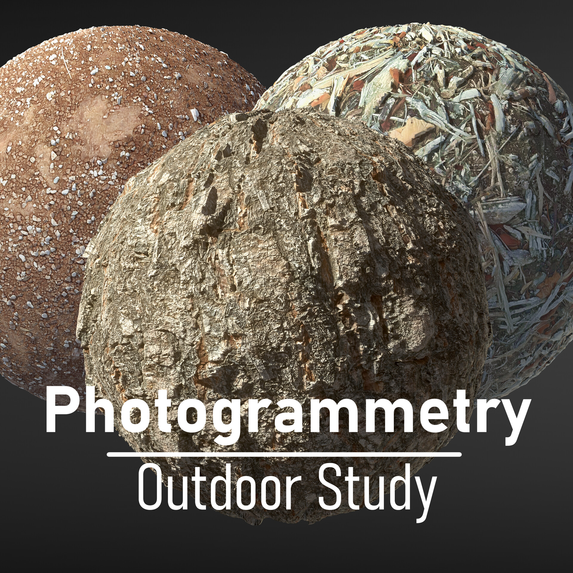 ArtStation - Photogrammetry | Outdoor Study