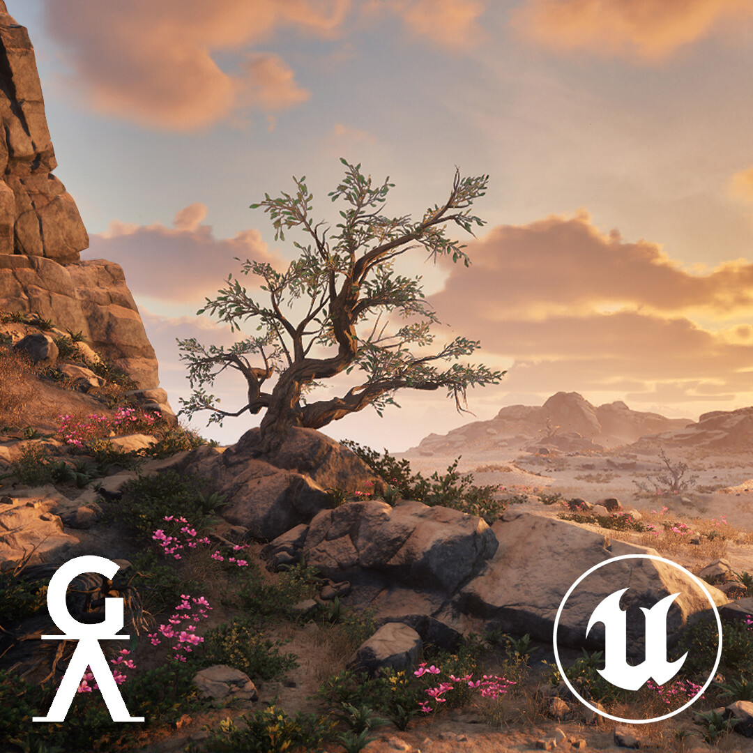 ArtStation - Growing Desert [UE5]