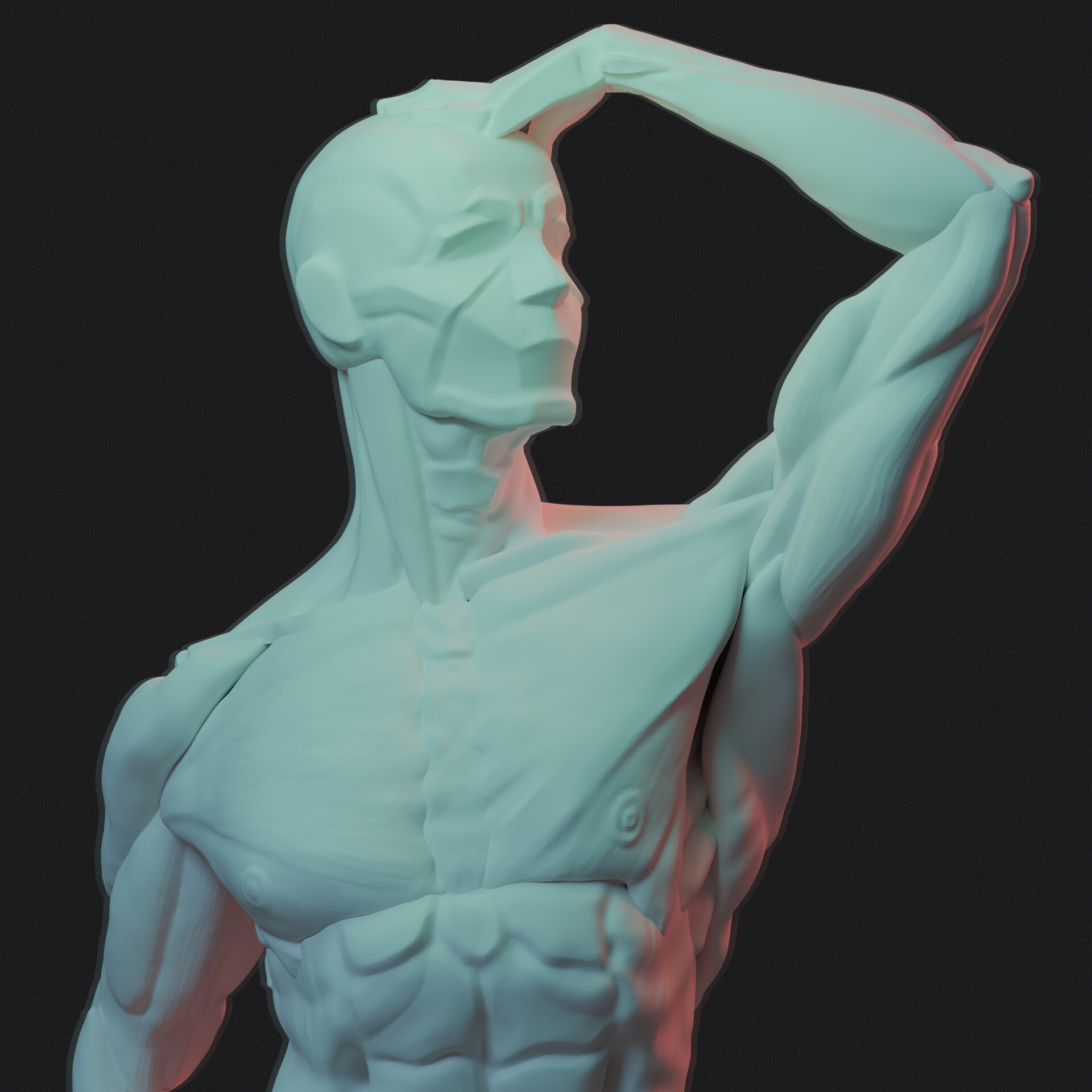 ArtStation - Anatomy practice - Ecorhce