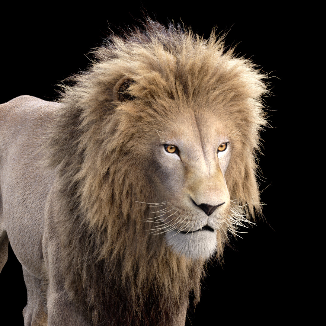 ArtStation - Lion Groom and CFX