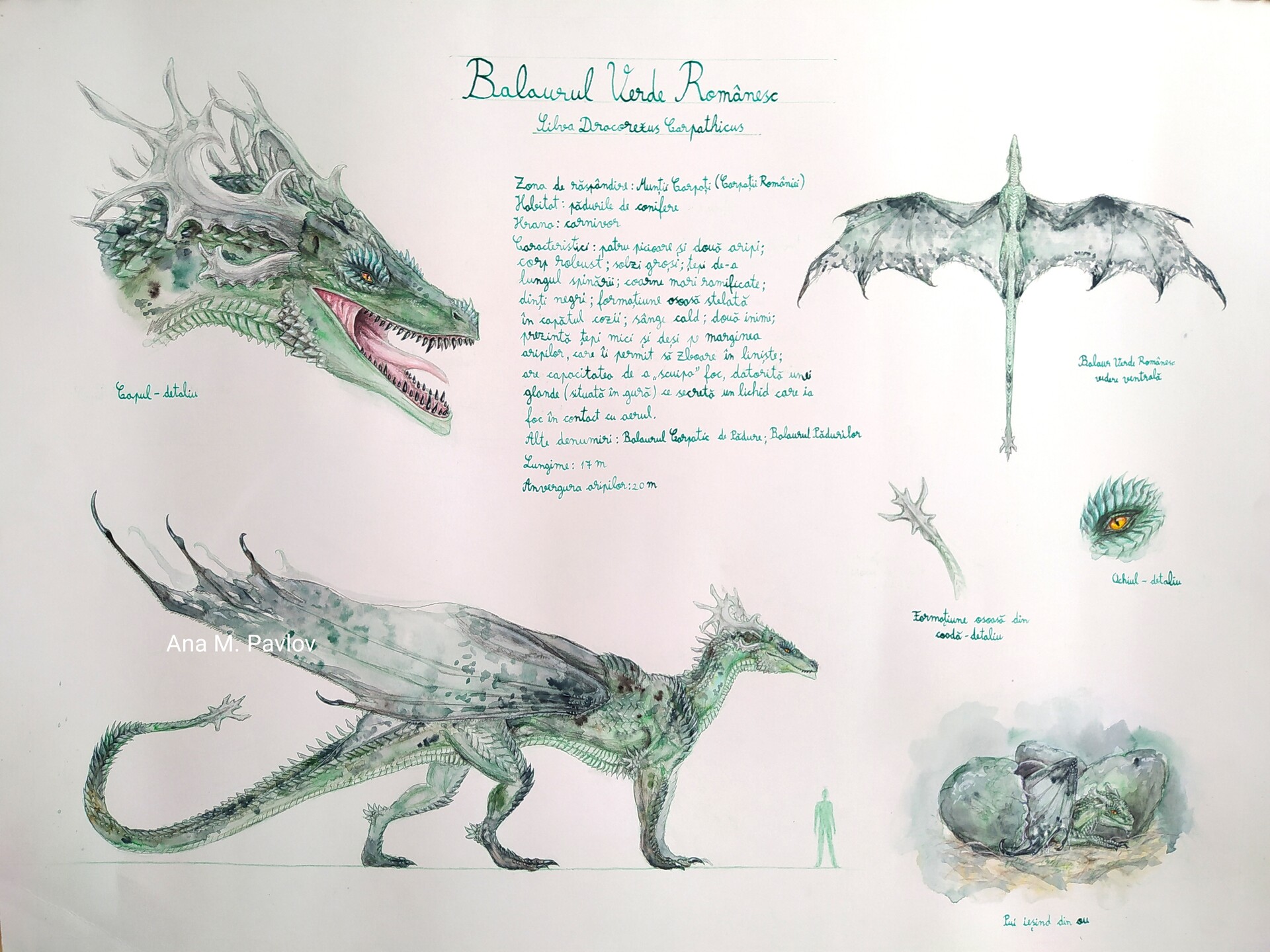 ArtStation - Romanian Green Dragon