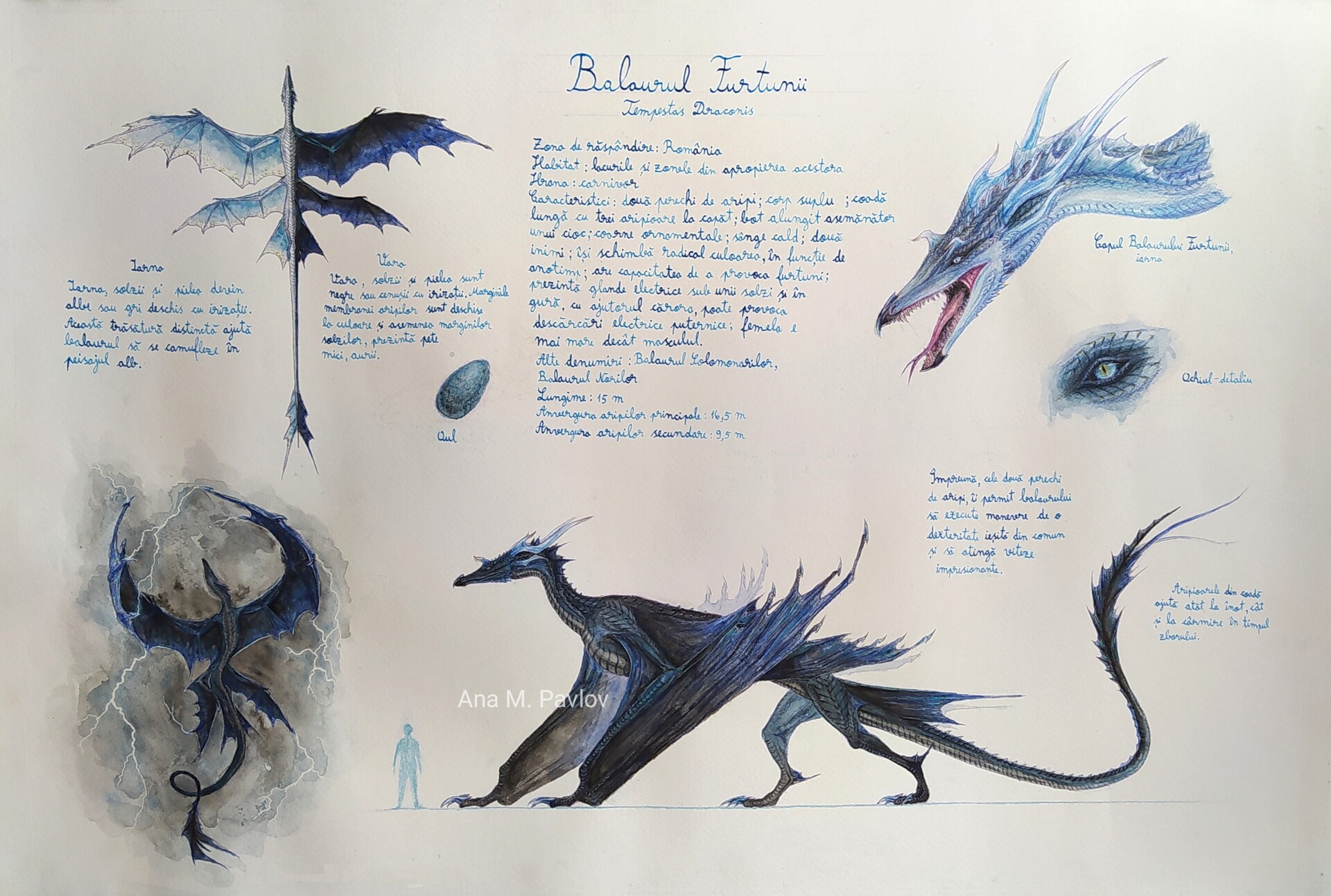 ArtStation - Storm Dragon