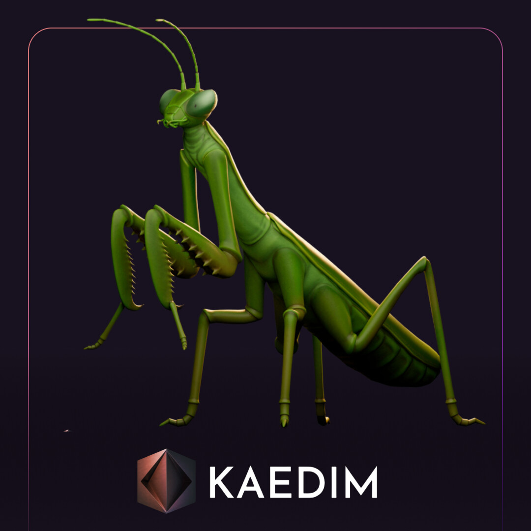 Kaedim - Praying Mantis | 3D Realistic Game Asset | Kaedim