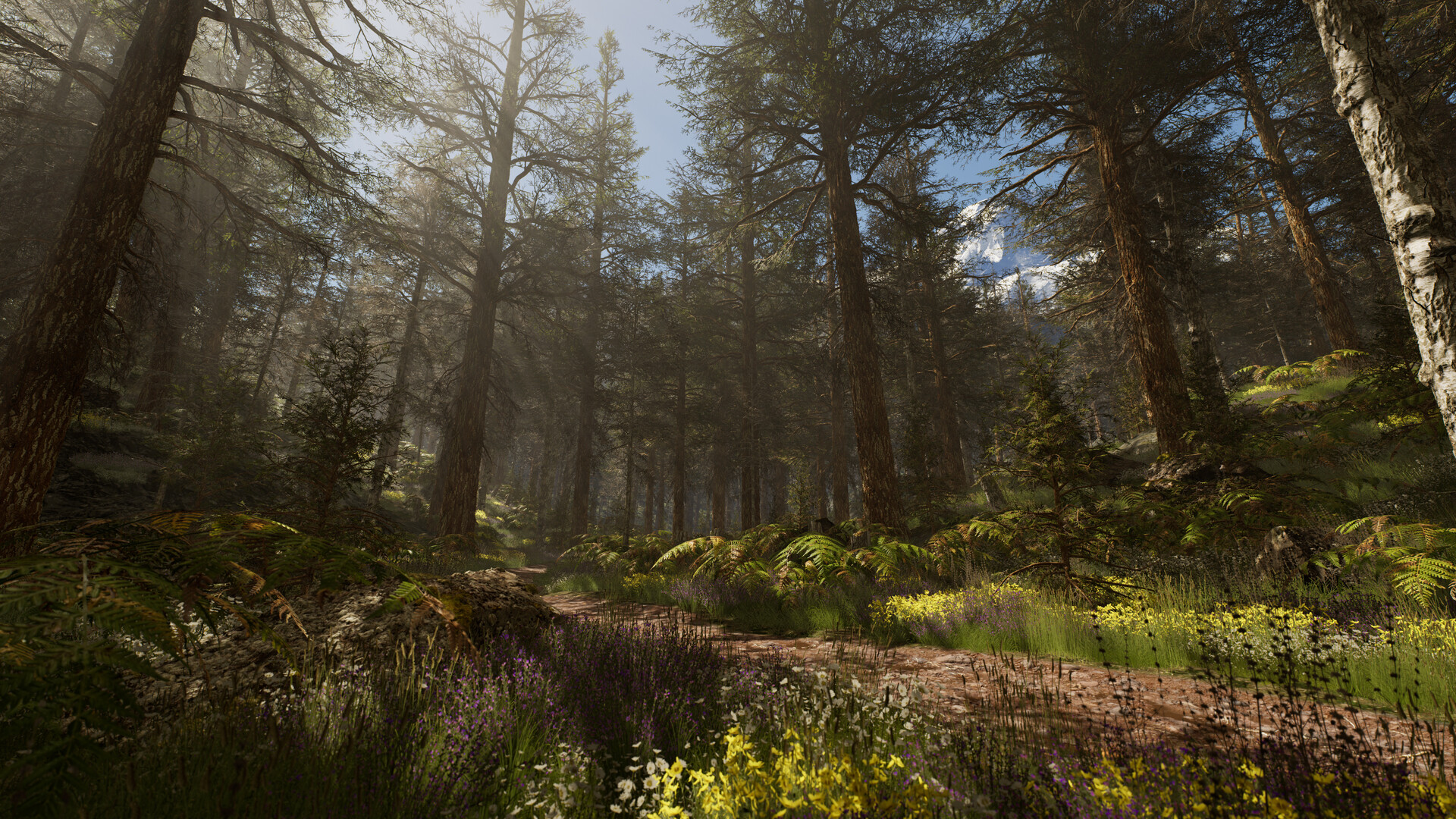 ArtStation - Forest Environment/ Unreal Engine