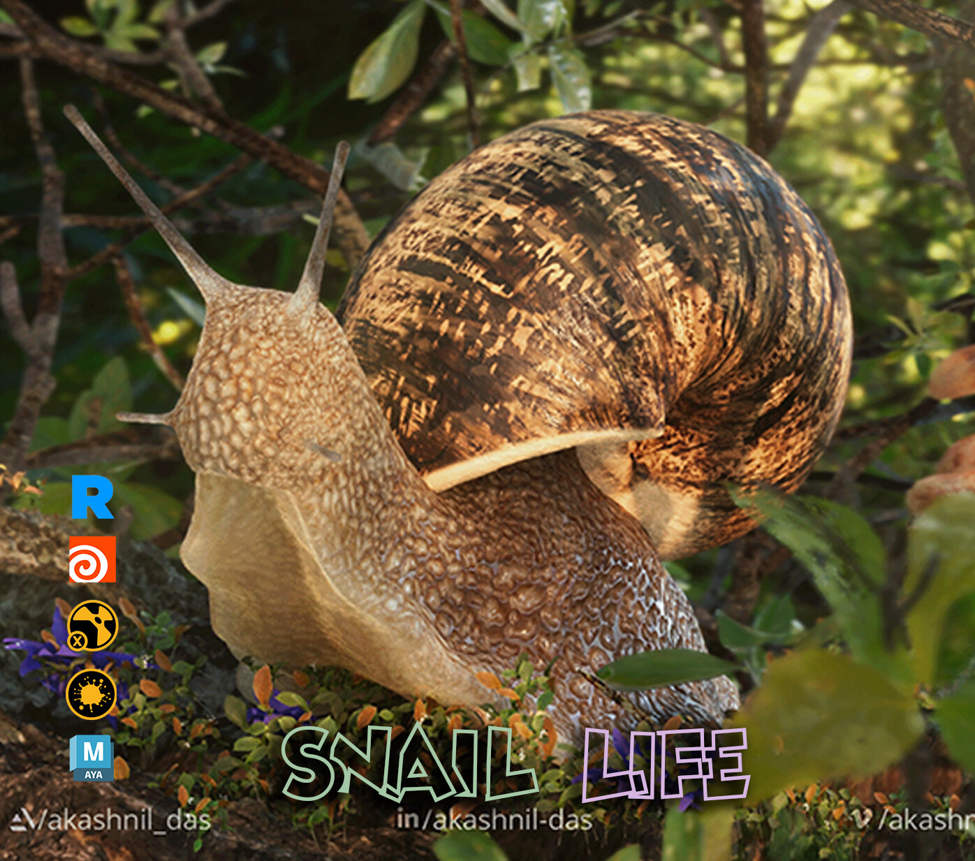 ArtStation - SNAIL LIFE