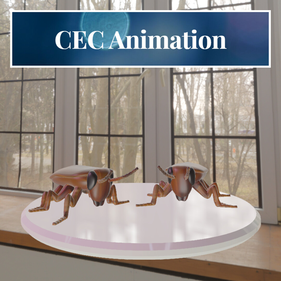 ArtStation - CEC VR Demo | Creeping Cockroach(es)